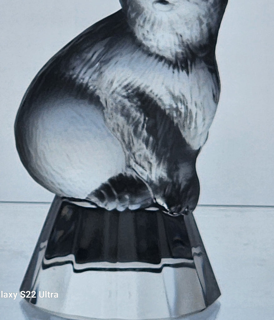 20240721-172018_1024x1024.jpg?v=1721597402